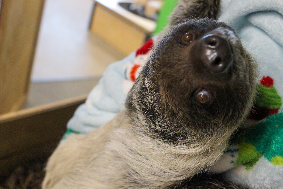 Da Vinci Science Center - Open for ExSCIting Possibilities