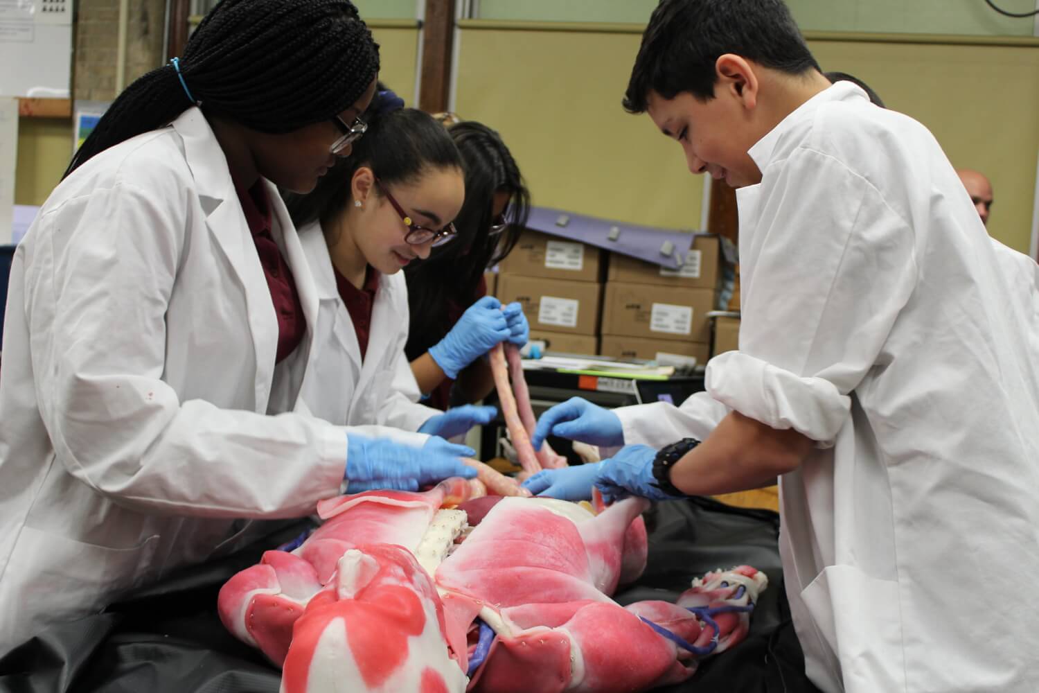 Classroom Programs - Da Vinci Science Center