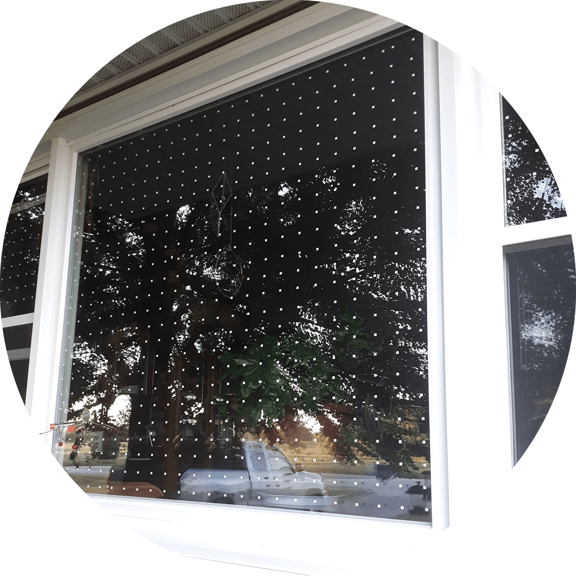 What will you do to help protect birds? - Da Vinci Science Center