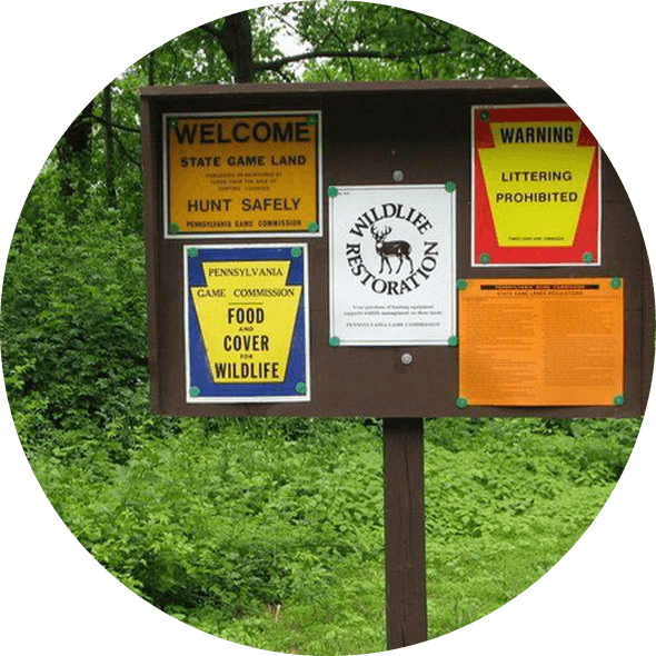 What will you do to help protect otters? - Da Vinci Science Center