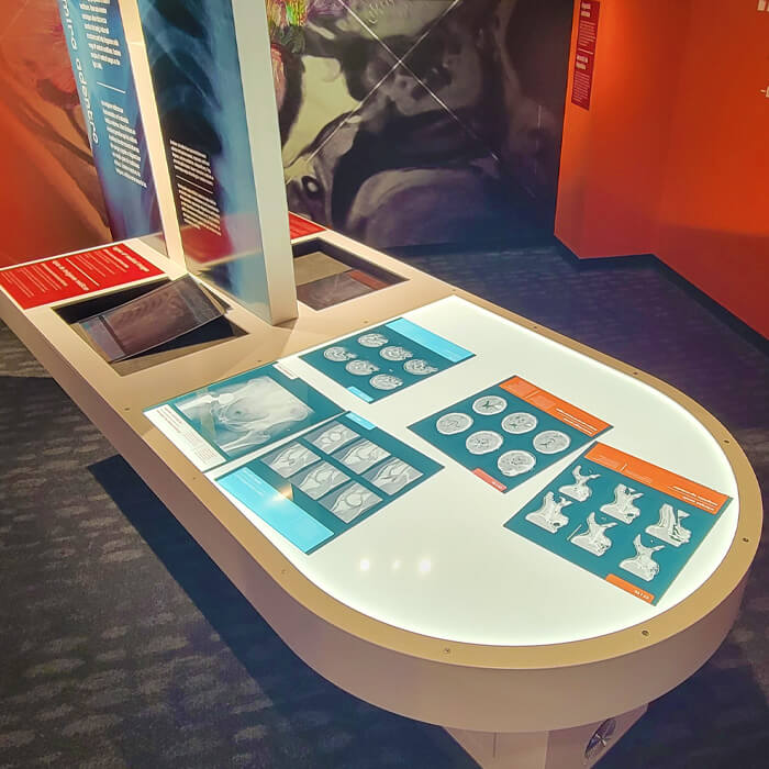 Capital Opportunities - Da Vinci Science Center