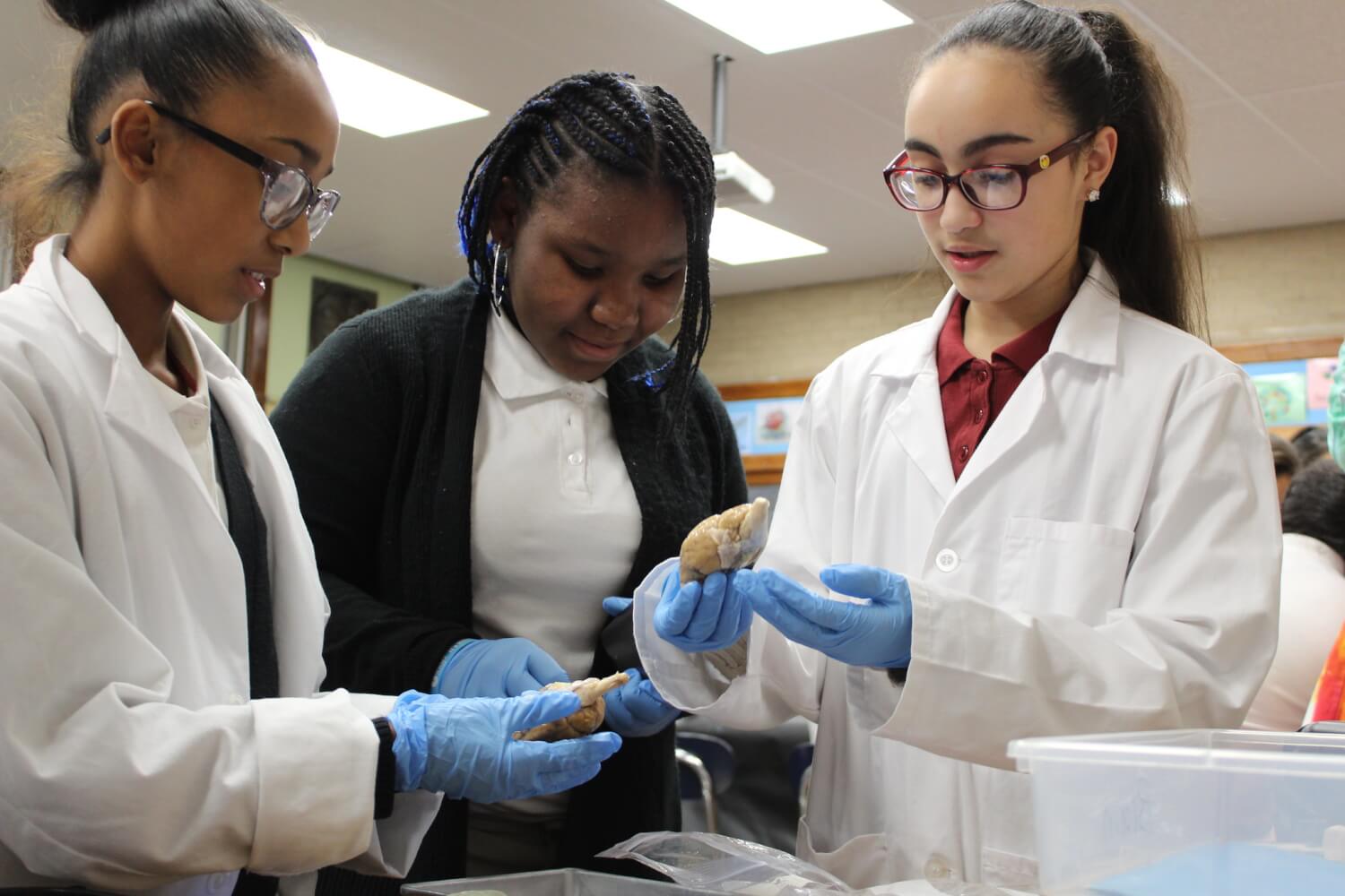 Resources for Educators | Da Vinci Science Center