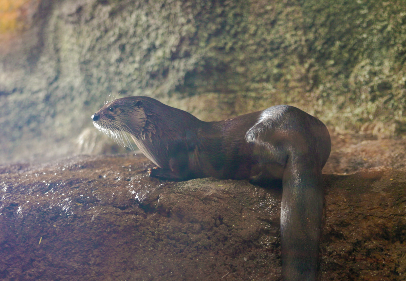Lehigh River Watershed Exhibit | Da Vinci Science Center