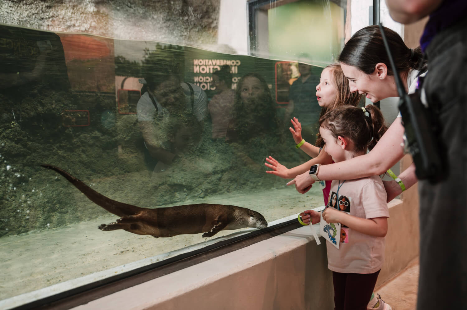 Lehigh River Watershed Exhibit | Da Vinci Science Center