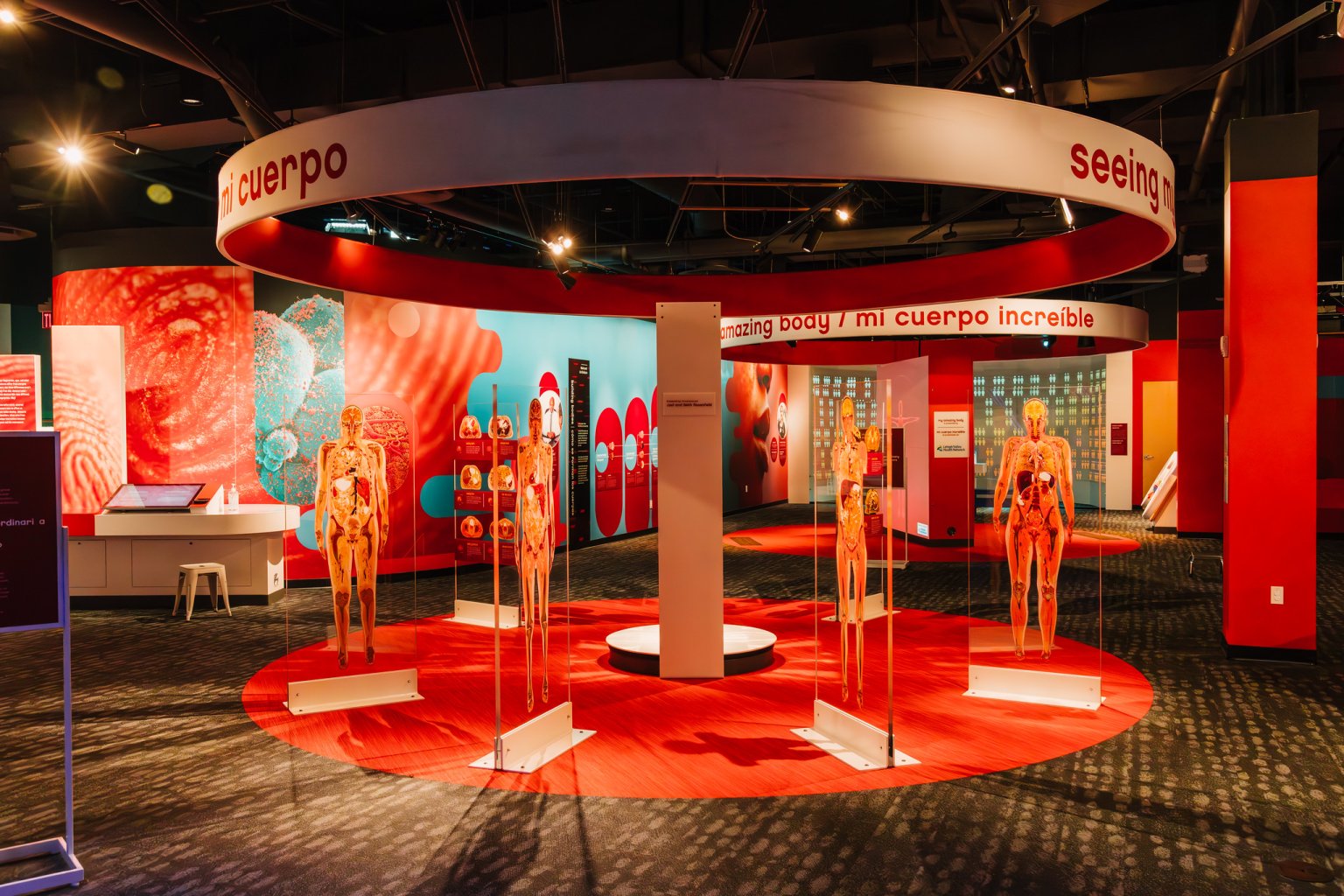 Exhibits Archive - Da Vinci Science Center