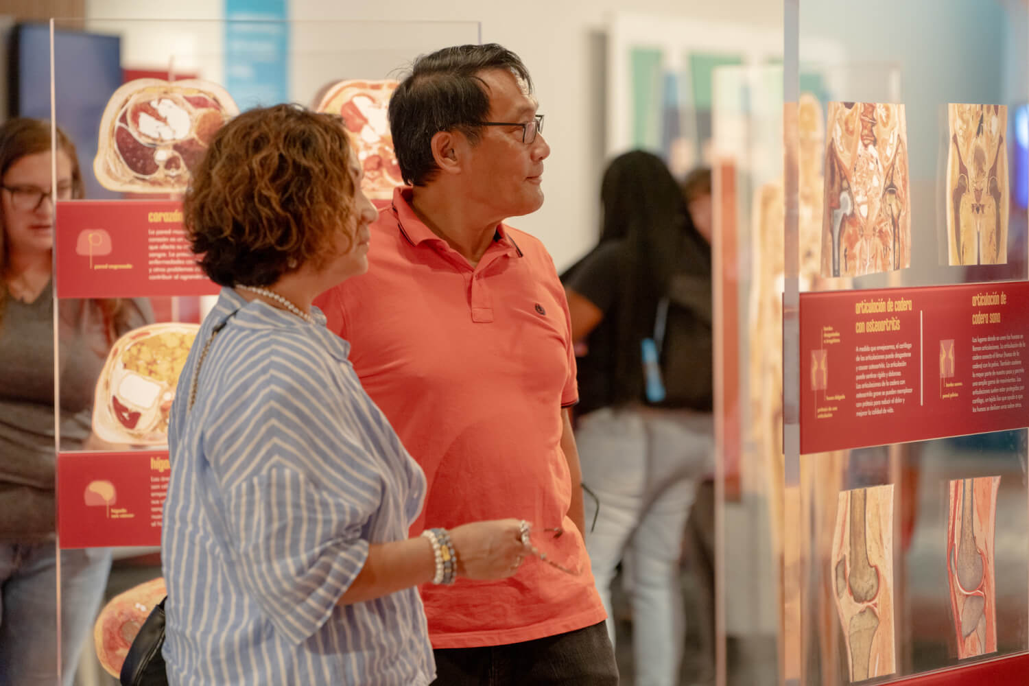 My Body Exhibit | Da Vinci Science Center