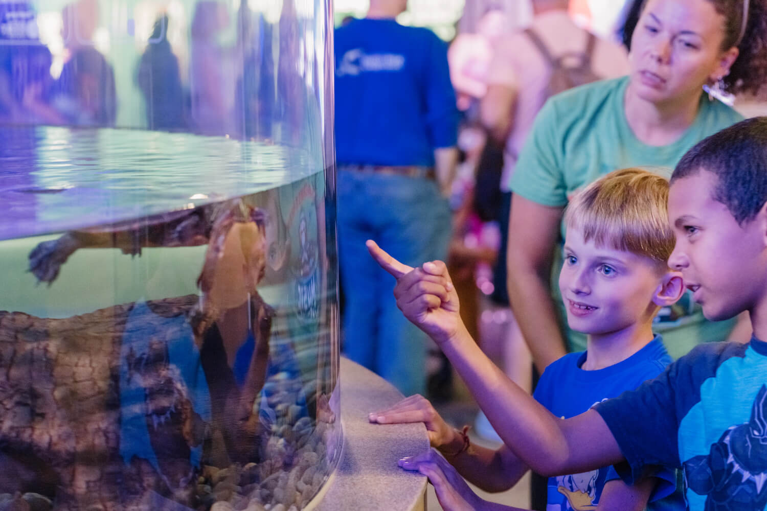 Lehigh River Watershed Exhibit | Da Vinci Science Center