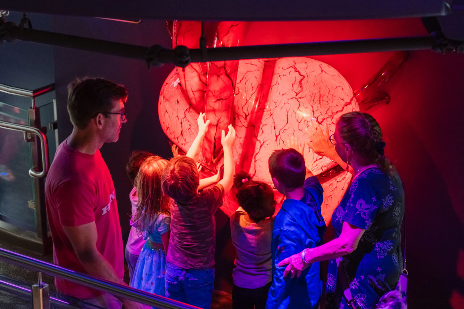 My Body Exhibit | Da Vinci Science Center