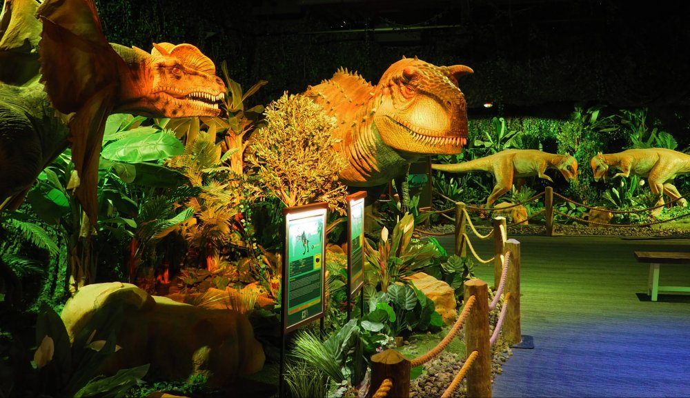 Home - Da Vinci Science Center