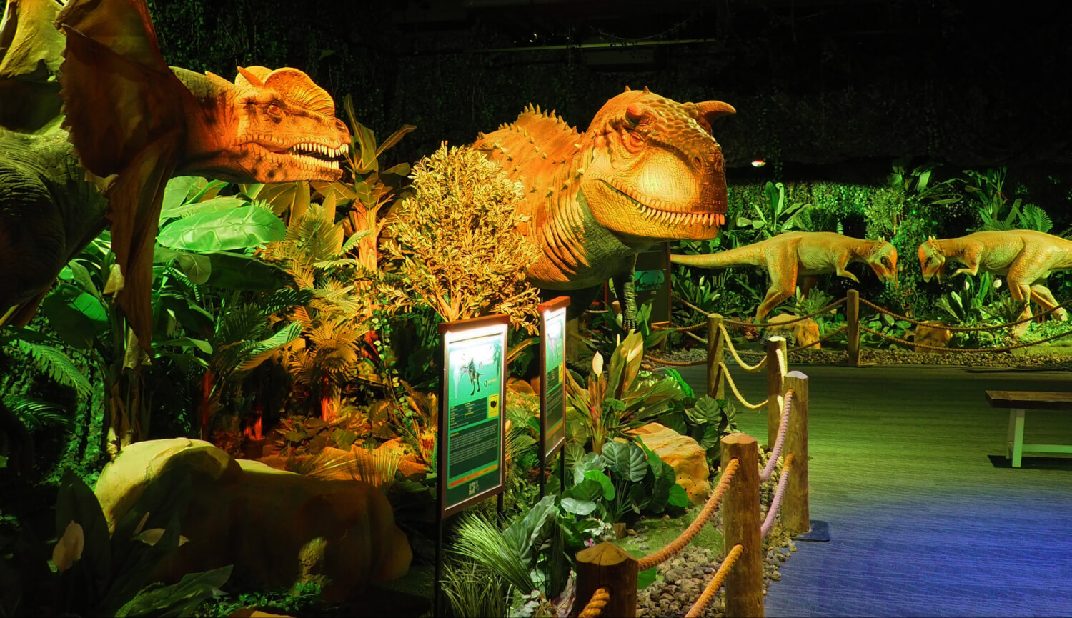 Home - Da Vinci Science Center