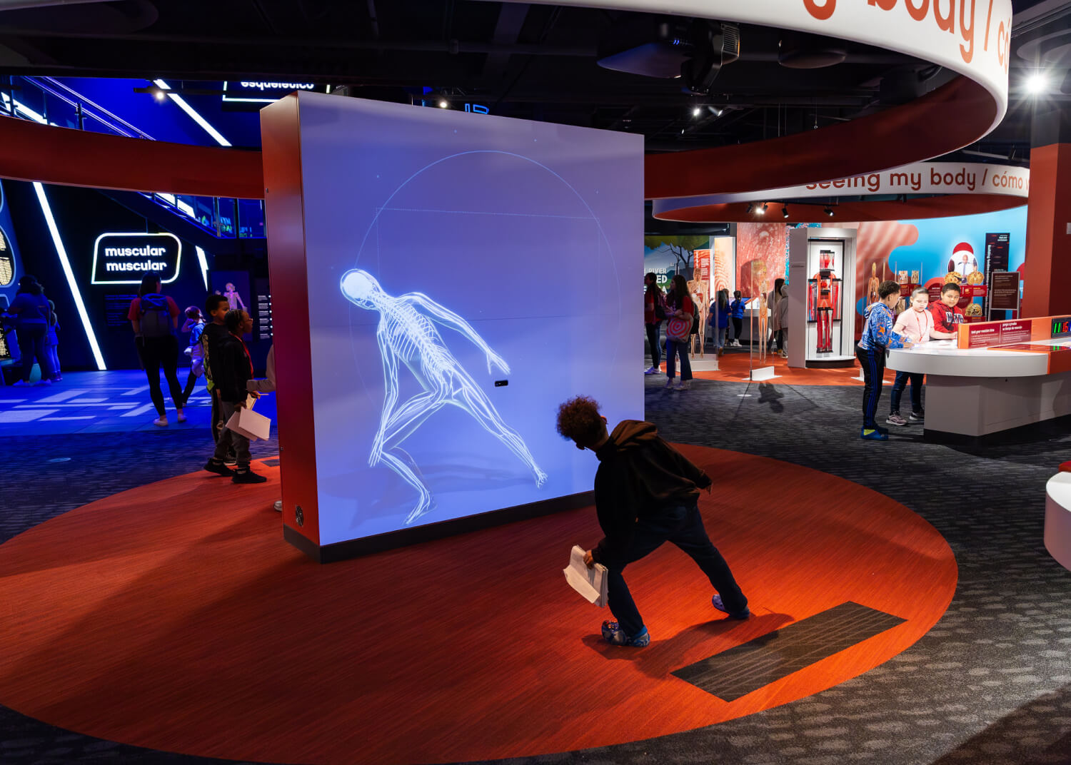 My Body Exhibit | Da Vinci Science Center