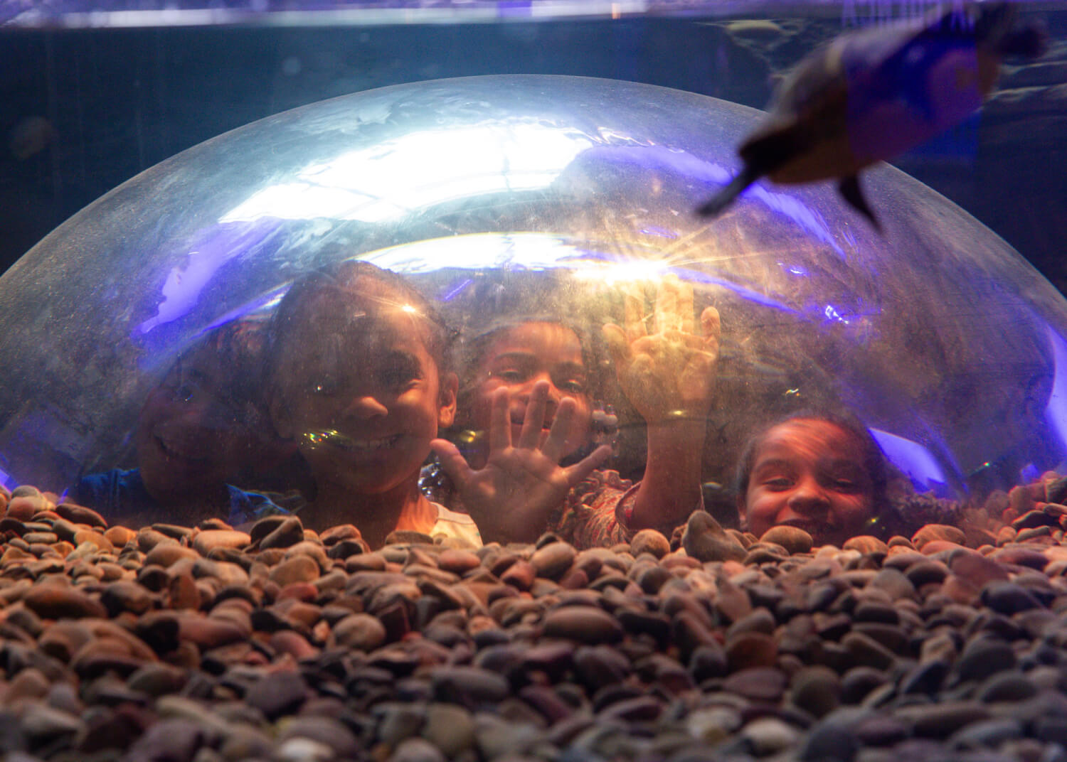 Lehigh River Watershed Exhibit | Da Vinci Science Center