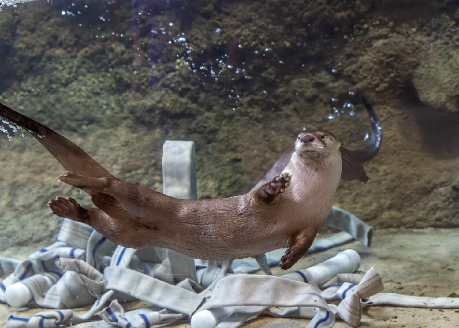 Membership Benefits | Da Vinci Science Center