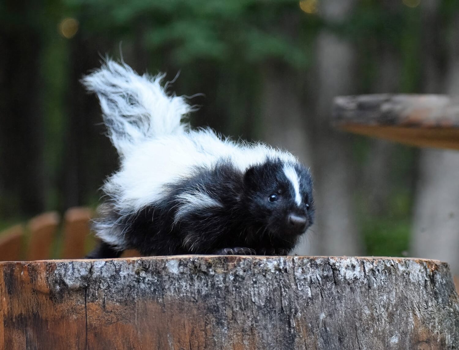 Home - Da Vinci Science Center